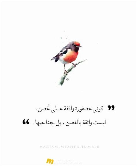 خلفيات تحفيزية 2024 عبارات تحفيزية بالصور مصراوى الشامل