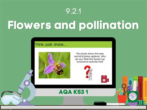 Flowers And Pollination Teaching Resources
