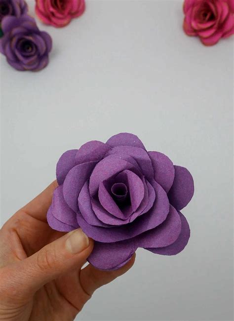 Раскрась схемы розы