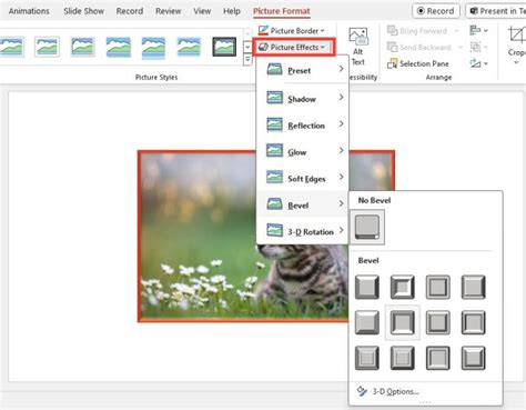 How To Add Borders To Images In PowerPoint MyExcelOnline