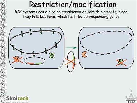 Msu Skol Tech Restriction Modification Restriction Modification Restriction