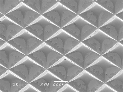 Sem Image Of Borosilicate Glass Surface Embossed Using The Au Coated