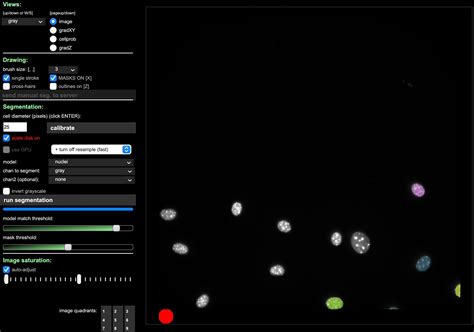Nuclei Model Different Results Between Interface And Local
