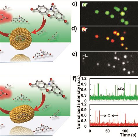 Fluorescence Characterizations Of The Catalysis Process From A Single
