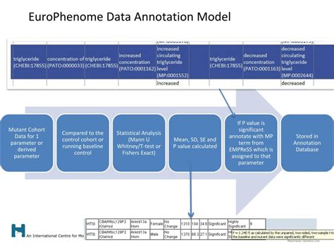 Ppt Mining Phenotype Databases To Identify Mouse Models Of Clinical Relevance Powerpoint
