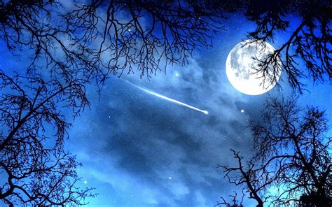 Full Moon And Stars Wallpapers On Wallpaperdog