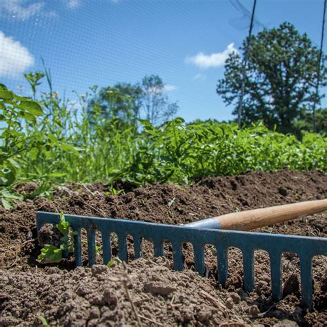 Лунный посевной календарь май 2025 план посадок для богатого урожая