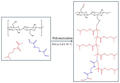 Gels Free Full Text Cellulose G Poly2 Dimethylamino
