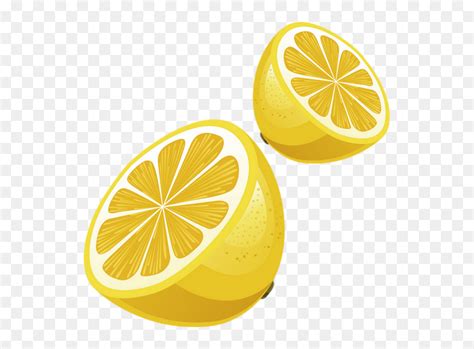 Jeruk Vector Png 57 Koleksi Gambar