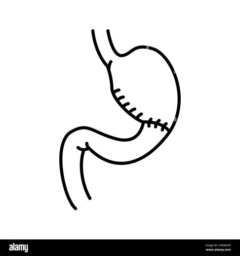 gastroduodenostomy line black icon sign for web page mobile app button logo vector isolated