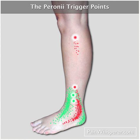 Trigger Point Therapy For Calf Ankle Foot Pain HealthyVox