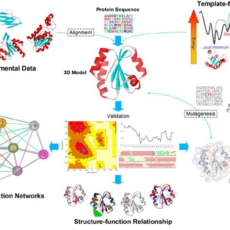 Illustration Of Sb Applications Workflow In Proteomics Research Illustration Of Sb Applications Workflow In Proteomics Research