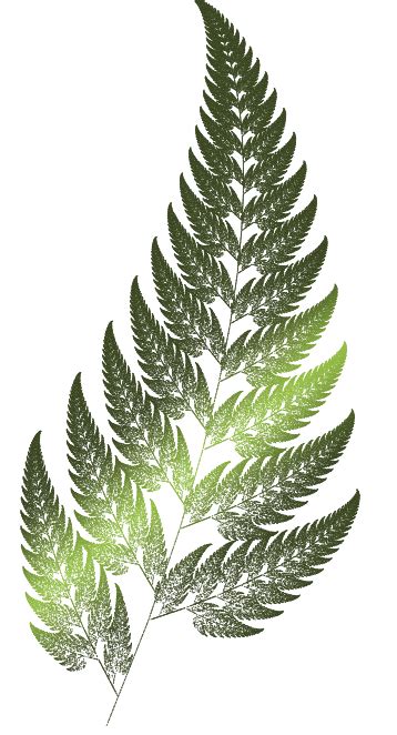 It Shows How Graphically Beautiful Structures Can Be Built From