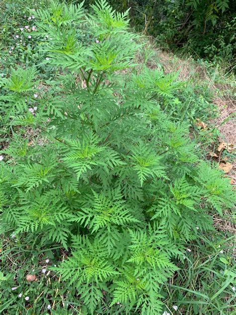 Hycor France Posted On Linkedin