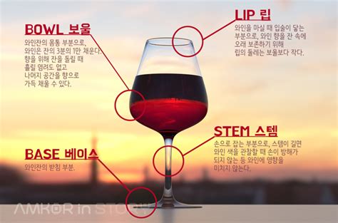 와인과 친해지기 와인 예절 알기
