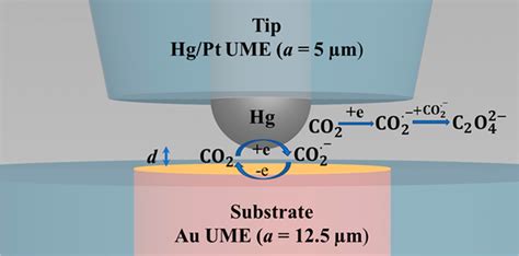 Schematic Of The Collection Of The CO Radical In TG SC Mode Of SECM Download Scientific