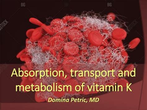 Vitamin K Medicinal Chemistry By Pravisankarstructures Of Vitamin