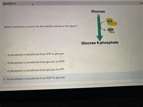 Solved Question Glucose ATP Which Statement Is Correct Chegg Com