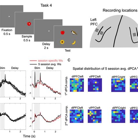 Spatial Patterns Of Control Related Activity In Task With Cued Download Scientific Diagram