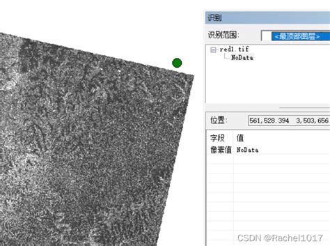 arcgis去除遥感影像黑边 遥感影像去除黑色背景 nodata as csdn博客