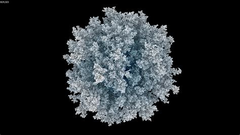 Diffusion Limited Aggregation Softologys Blog