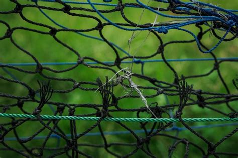 Premium Photo A Close Up Of A Net With A Green Background
