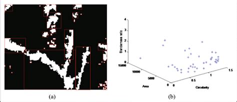 3 D Feature Extraction A All The Connected Domains After Image
