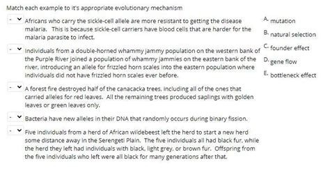 solved a mutation match each example to it s appropriate