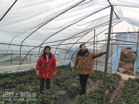 工作动态 鸦鹊岭做好雨雪防冻应对 开展农业技术指导盛万红 发布 夷陵科特派