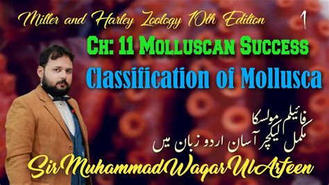 Molluscan Success Classification Of Mollusca Explained In Urdu Youtube