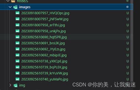 nodejs 图片下载功能实现 nodejs 下载图片 csdn博客