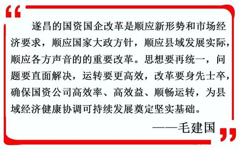 毛建国加快改革步伐 提升运营效率 确保国资公司高效率高效益运转 集团
