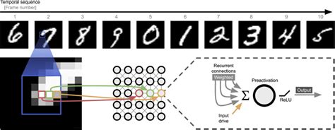 Predictive Coding Is A Consequence Of Energy Efficiency In Recurrent Neural Networks Patterns