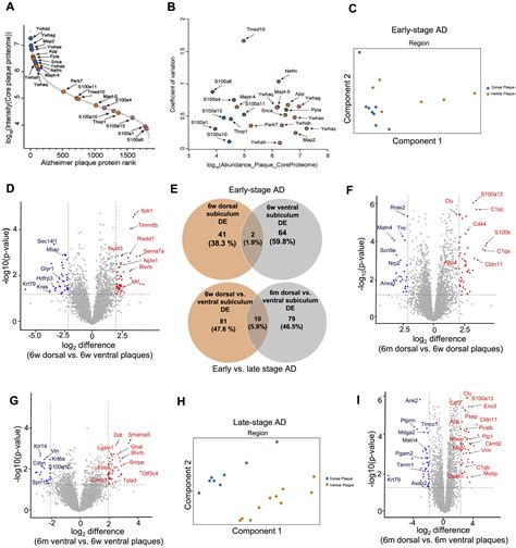 Spatial Proteomics In Three Dimensional Intact Specimens Cell