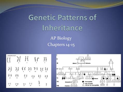 ppt ap bio thursday 3 17 11 genetic patterns of inheritance