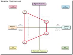 Competing Values Framework And SPoR SafetyRisk Net