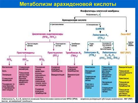 Ненаркотические анальгетики - презентация онлайн