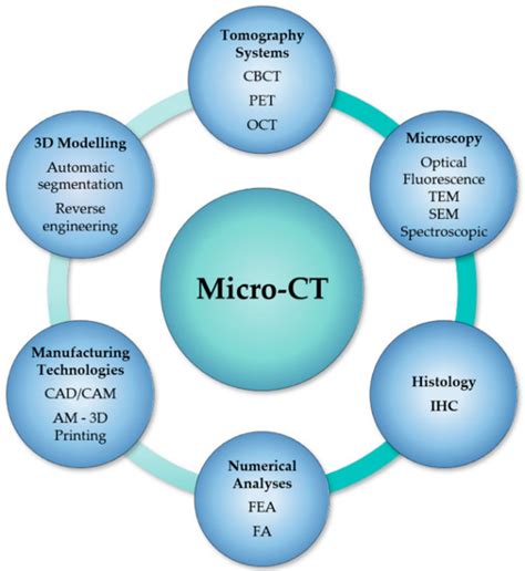 Ten Years Of Micro Ct In Dentistry And Maxillofacial Surgery A Literature Overview