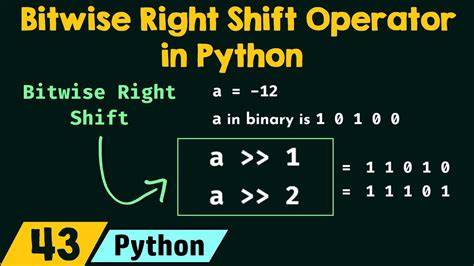 Python operator.  10 in binary is 1010 now >> 1 says to right shift by 1, effectively ...