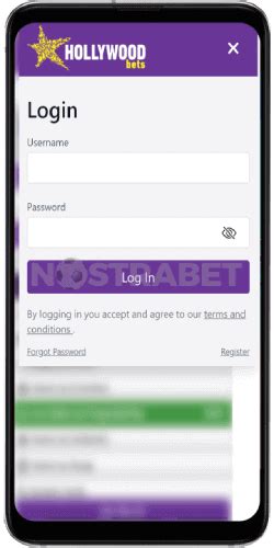 Hollywoodbets Old Version: Expert-Tested Options for South African ...